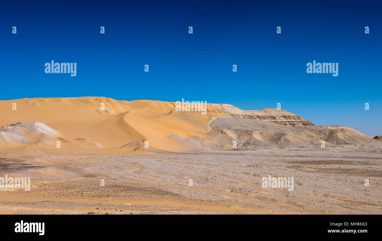 Sand dune in the desert in Egypt Stock Photo - Alamy