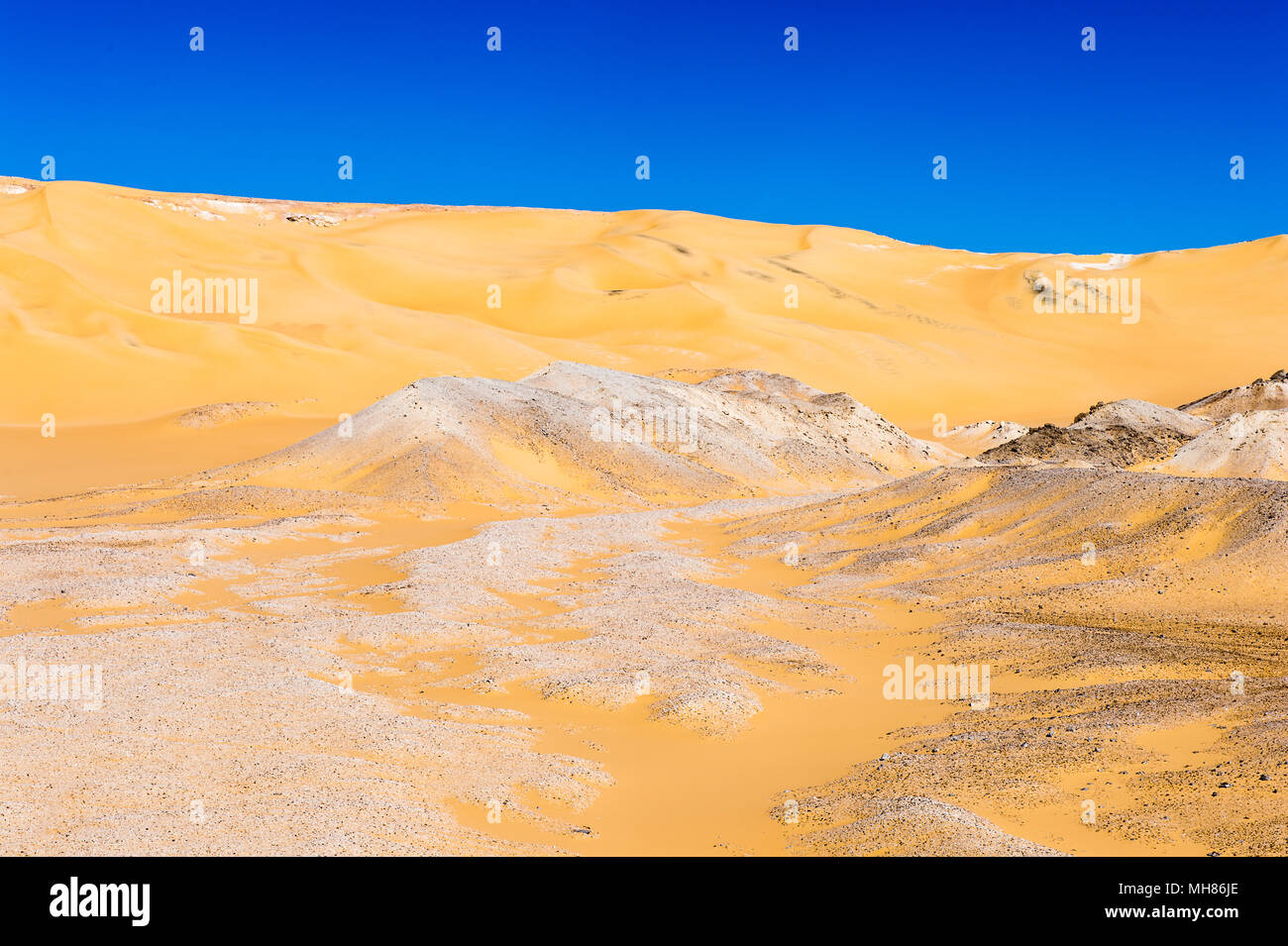 Sand dune in the desert in Egypt Stock Photo - Alamy