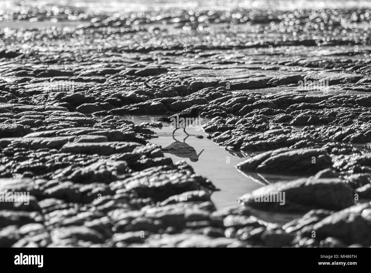 sun, sea and sand Stock Photo - Alamy