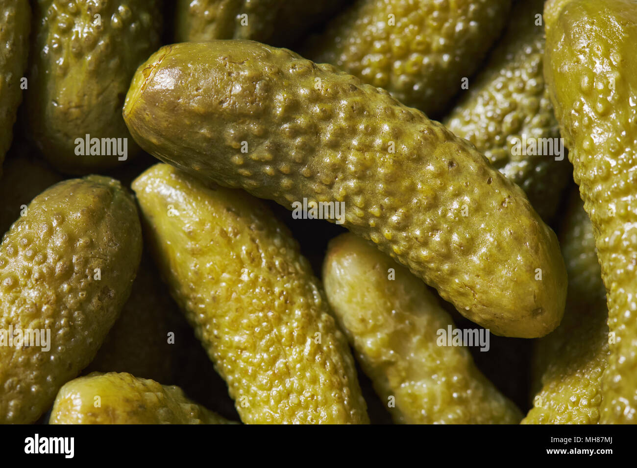 Pickled cucumbers, also known as gherkins or cornichons Stock Photo - Alamy