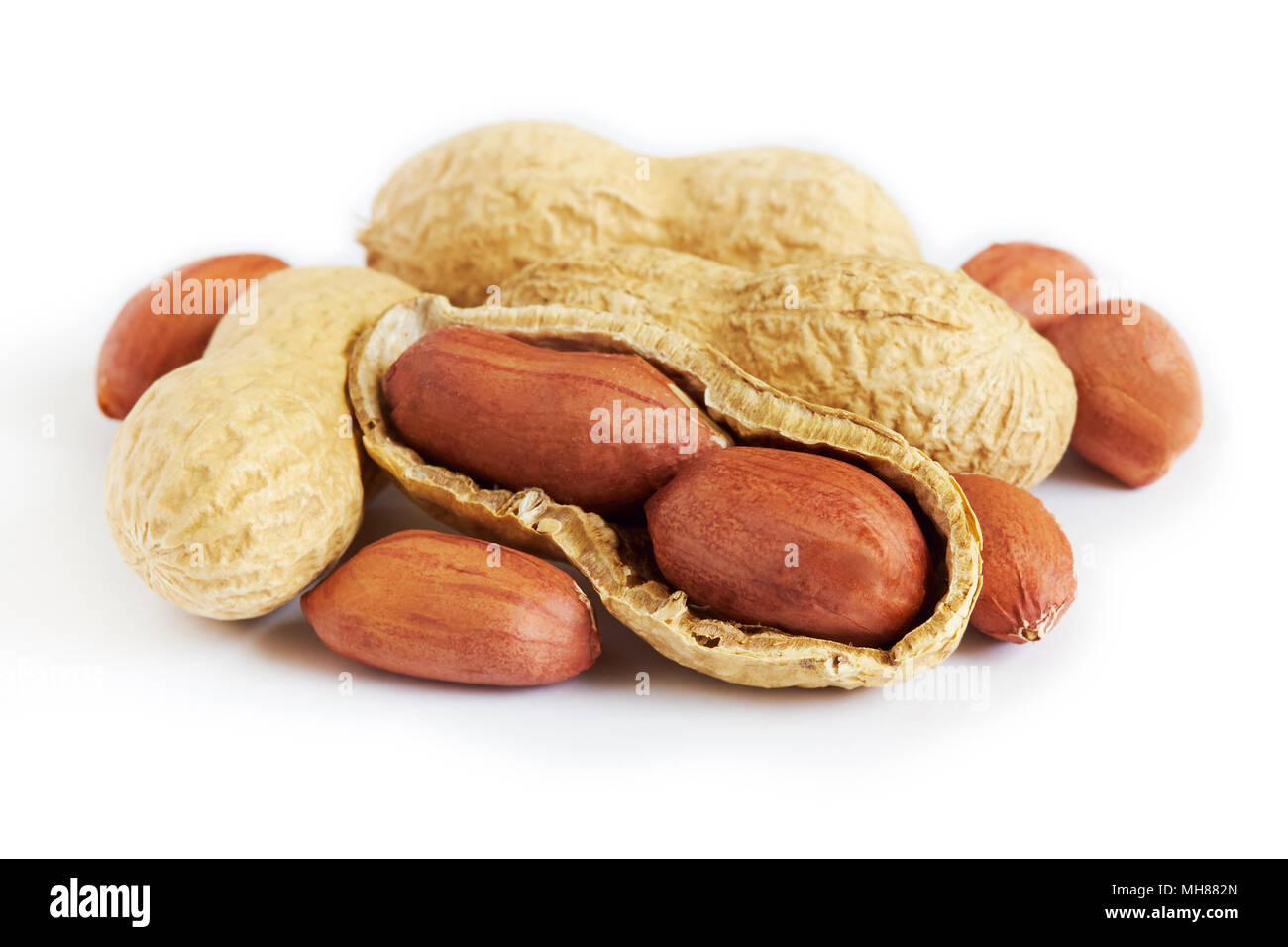 Roasted peanuts (salted, in shell) isolated on white background Stock ...