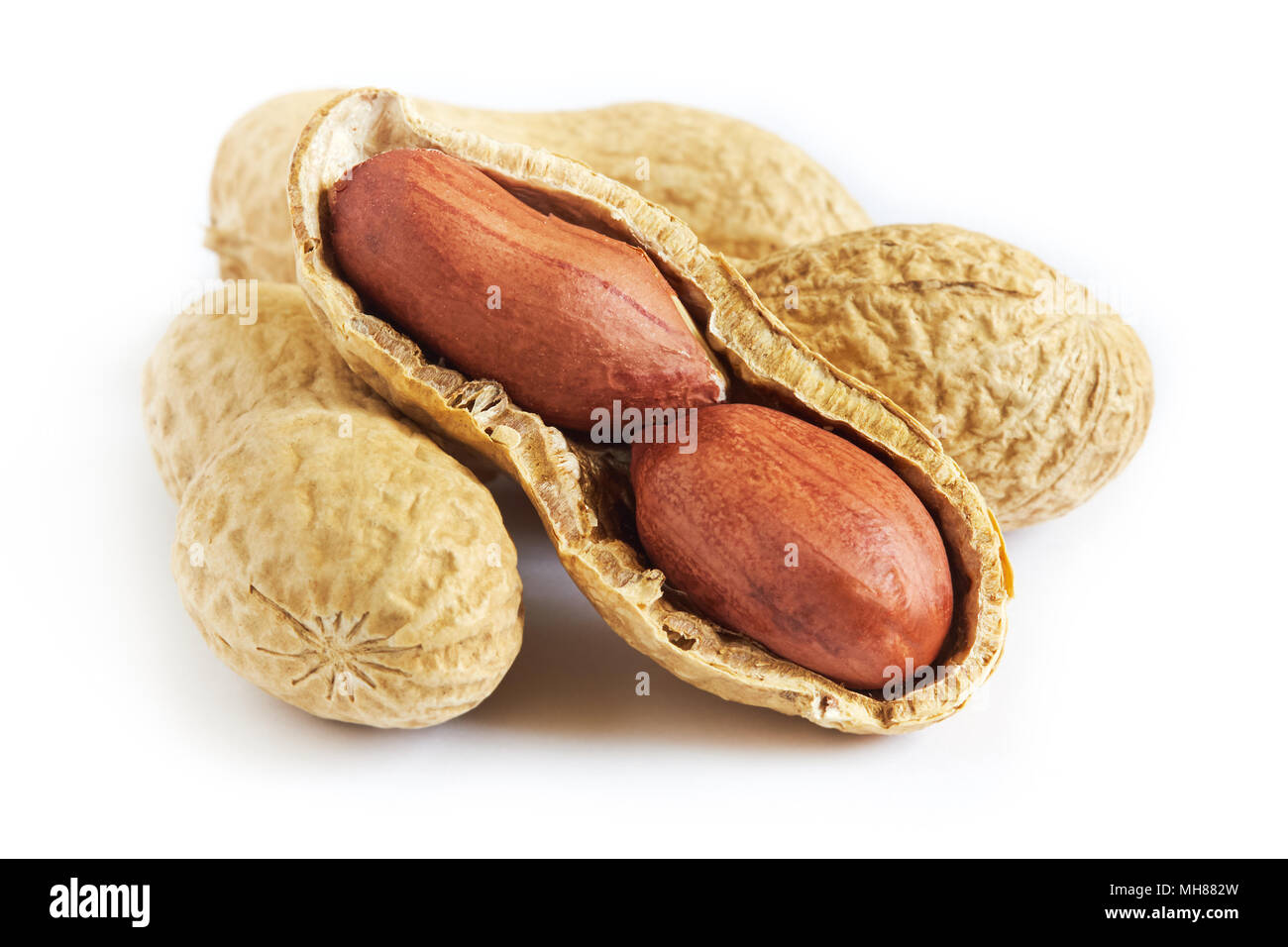 Roasted peanuts (salted, in shell) isolated on white background Stock ...