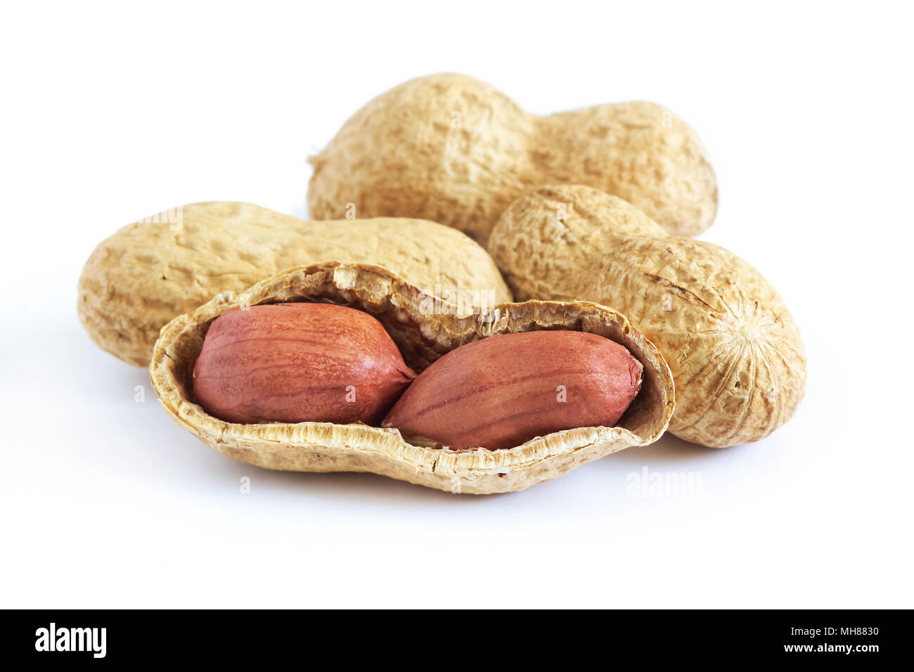 Roasted peanuts (salted, in shell) isolated on white background Stock ...
