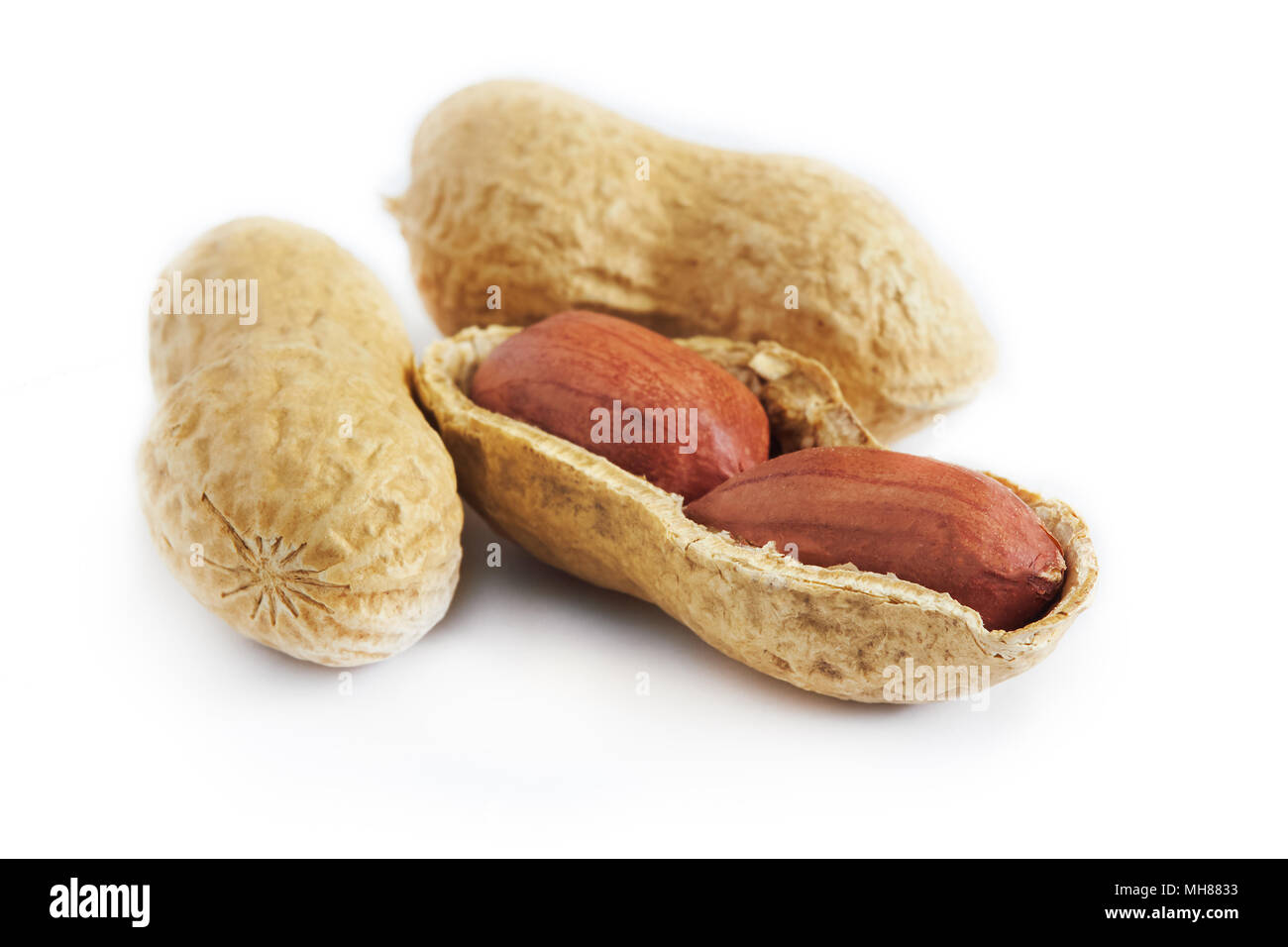 Roasted peanuts (salted, in shell) isolated on white background Stock ...