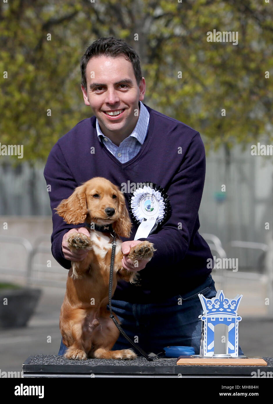 Maurice golden dog hi-res stock photography and images - Alamy