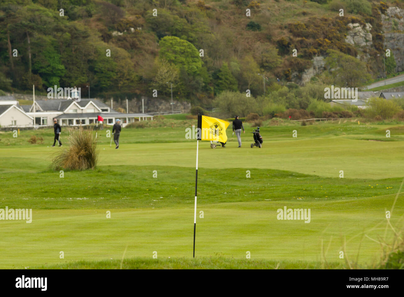 St davids flag hi-res stock photography and images - Alamy