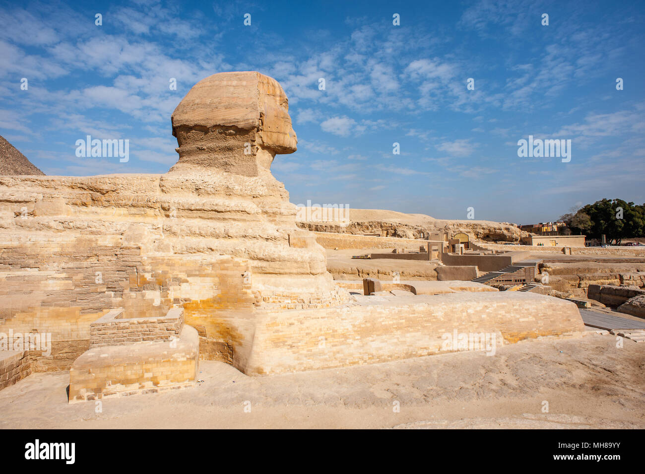 Great Sphinx of Giza, a limestone statue of a mythical creature with a ...