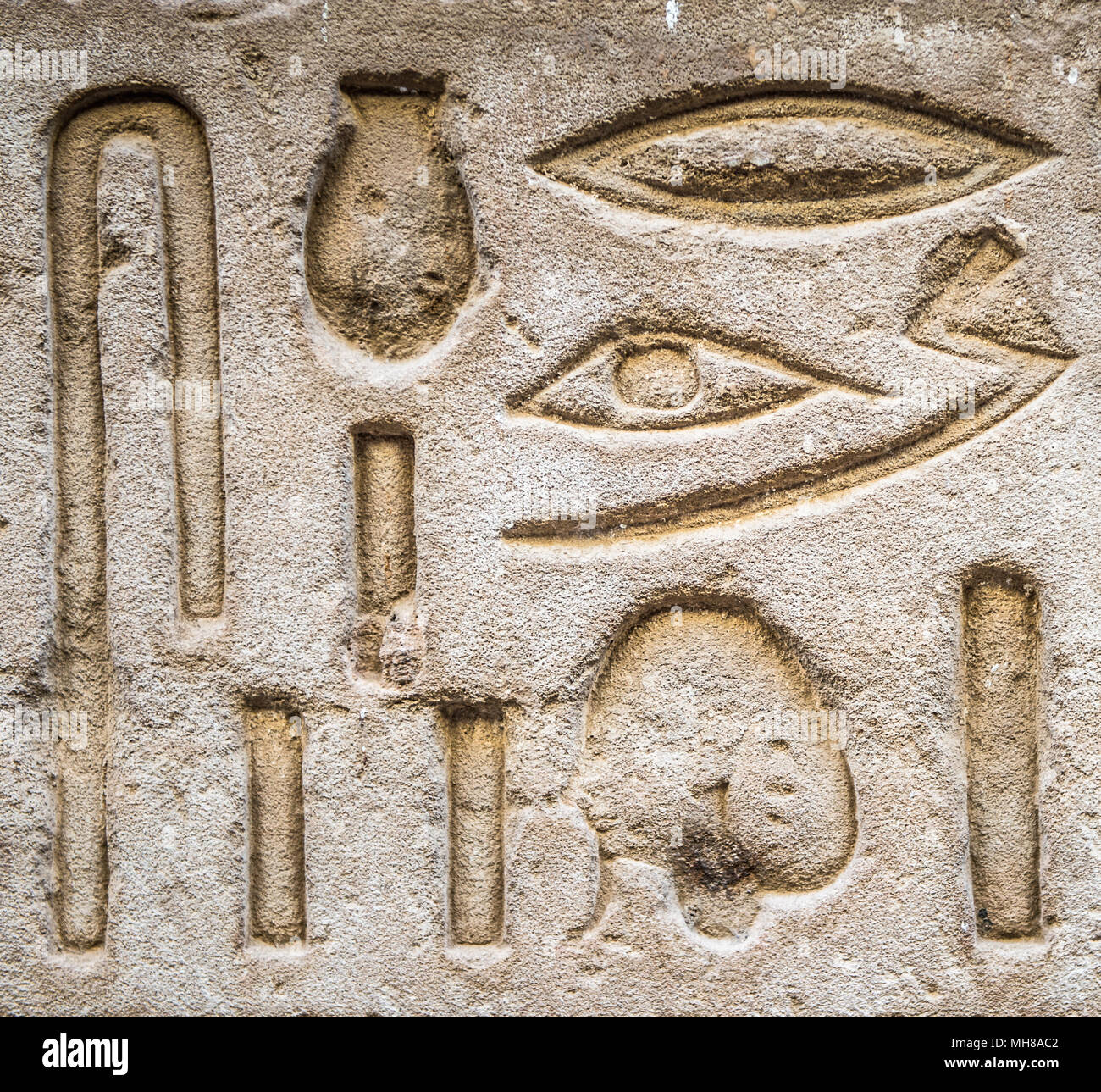Well preserved real ancient Egyptian hieroglyphs Stock Photo - Alamy