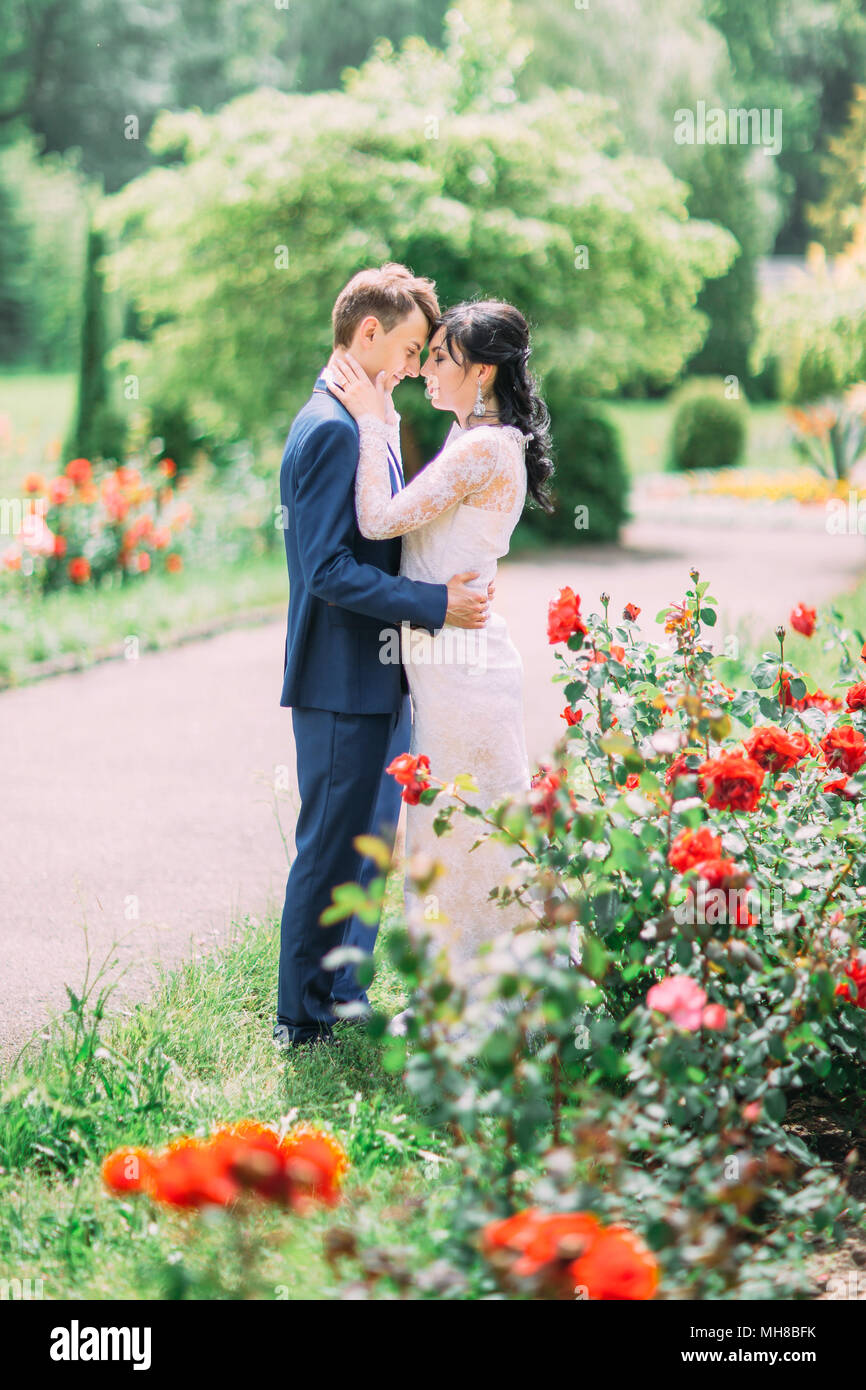 The sensitive outdoor view of the hugging newlyweds among red roses ...