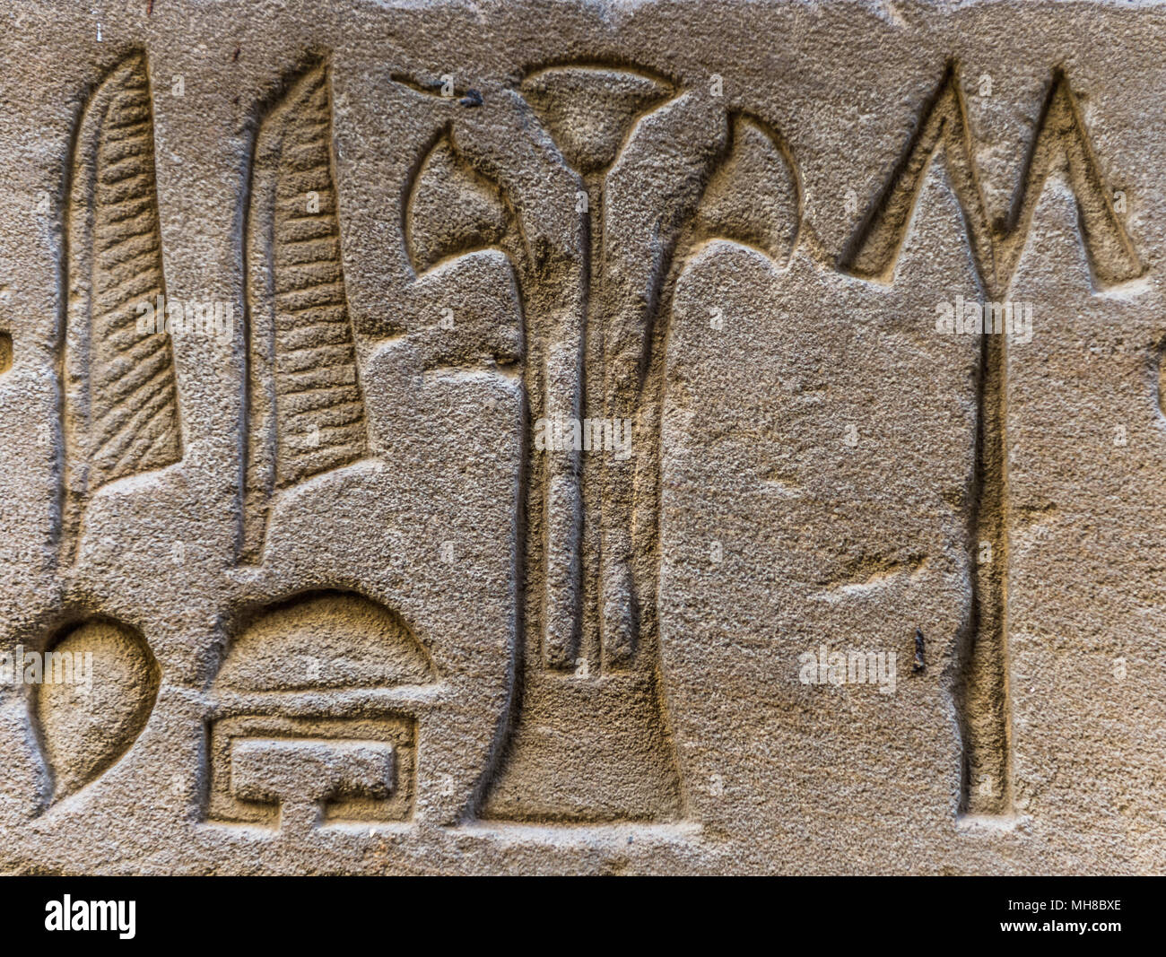 Egyptian hieroglyphs on the wall in a temple Stock Photo - Alamy