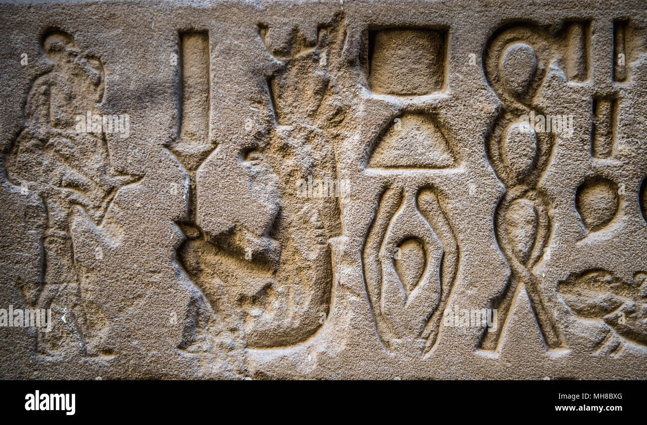 Egyptian hieroglyphs on the wall in a temple Stock Photo - Alamy