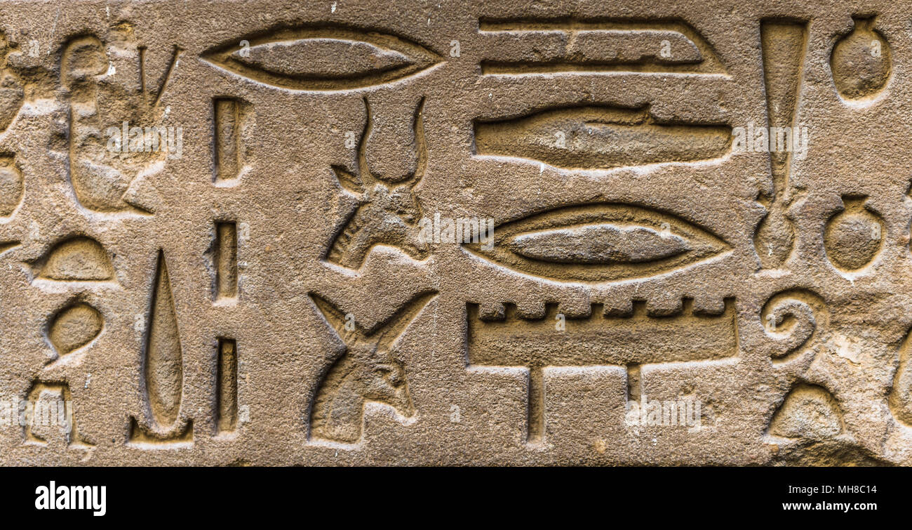Egyptian hieroglyphs on the wall in a temple Stock Photo - Alamy