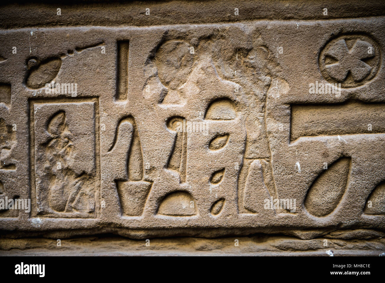 Egyptian hieroglyphs on the wall in a temple Stock Photo - Alamy
