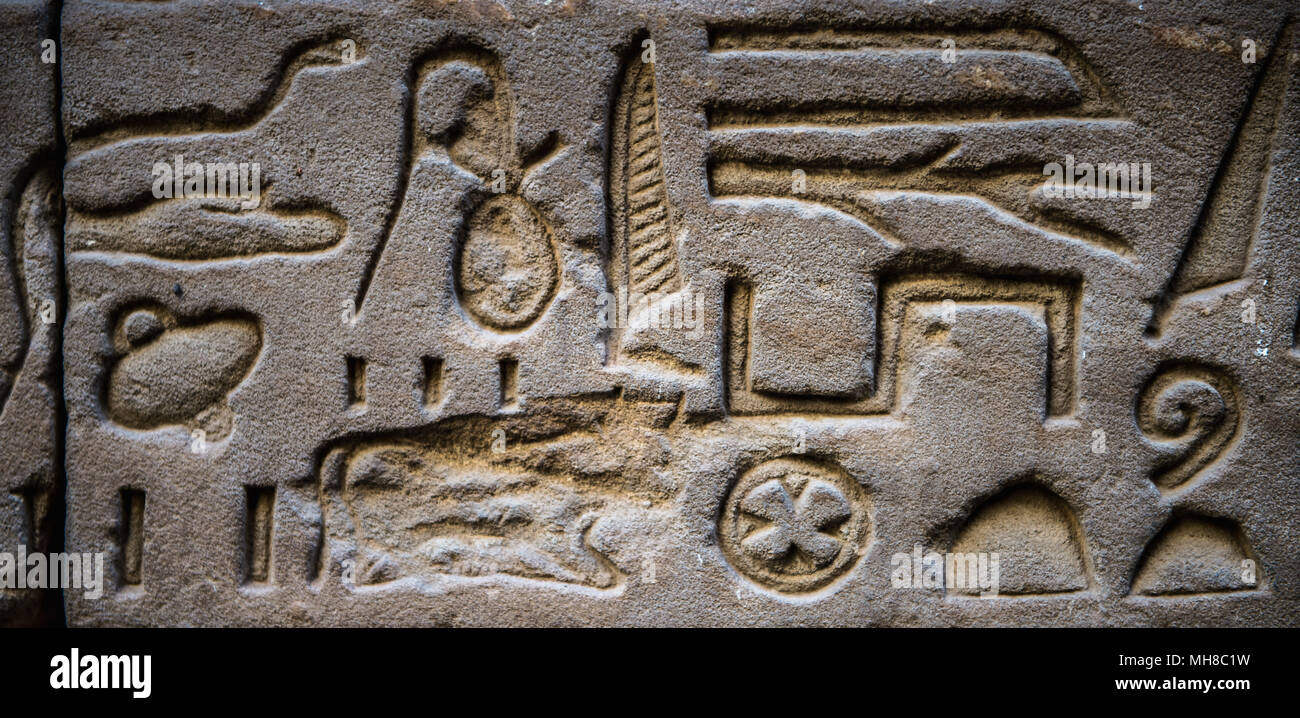 Egyptian hieroglyphs on the wall in a temple Stock Photo - Alamy