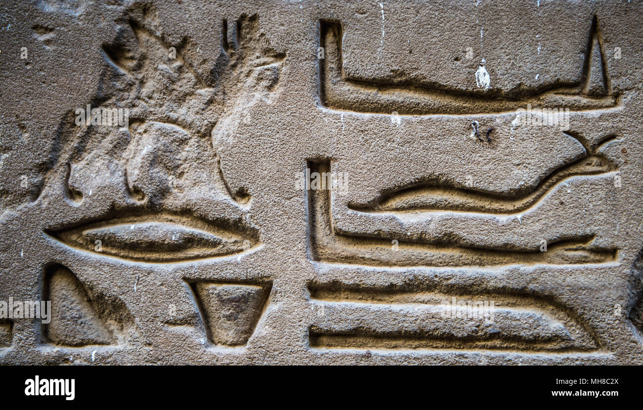 Egyptian hieroglyphs on the wall in a temple Stock Photo - Alamy