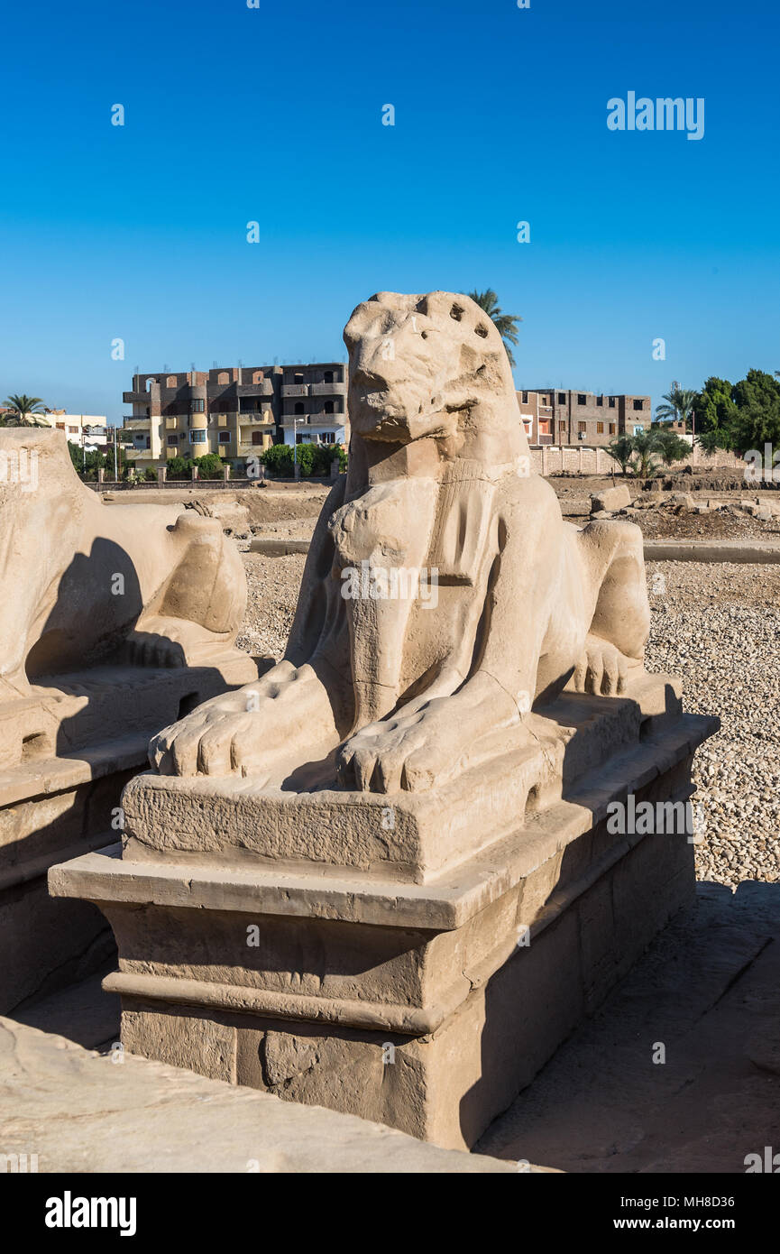 Ram god middle egypt hi-res stock photography and images - Alamy