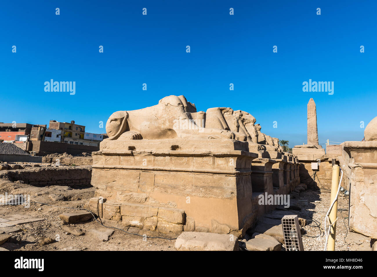 Ram statue at the gate of the Karnak temple (Ancient Thebes with its ...