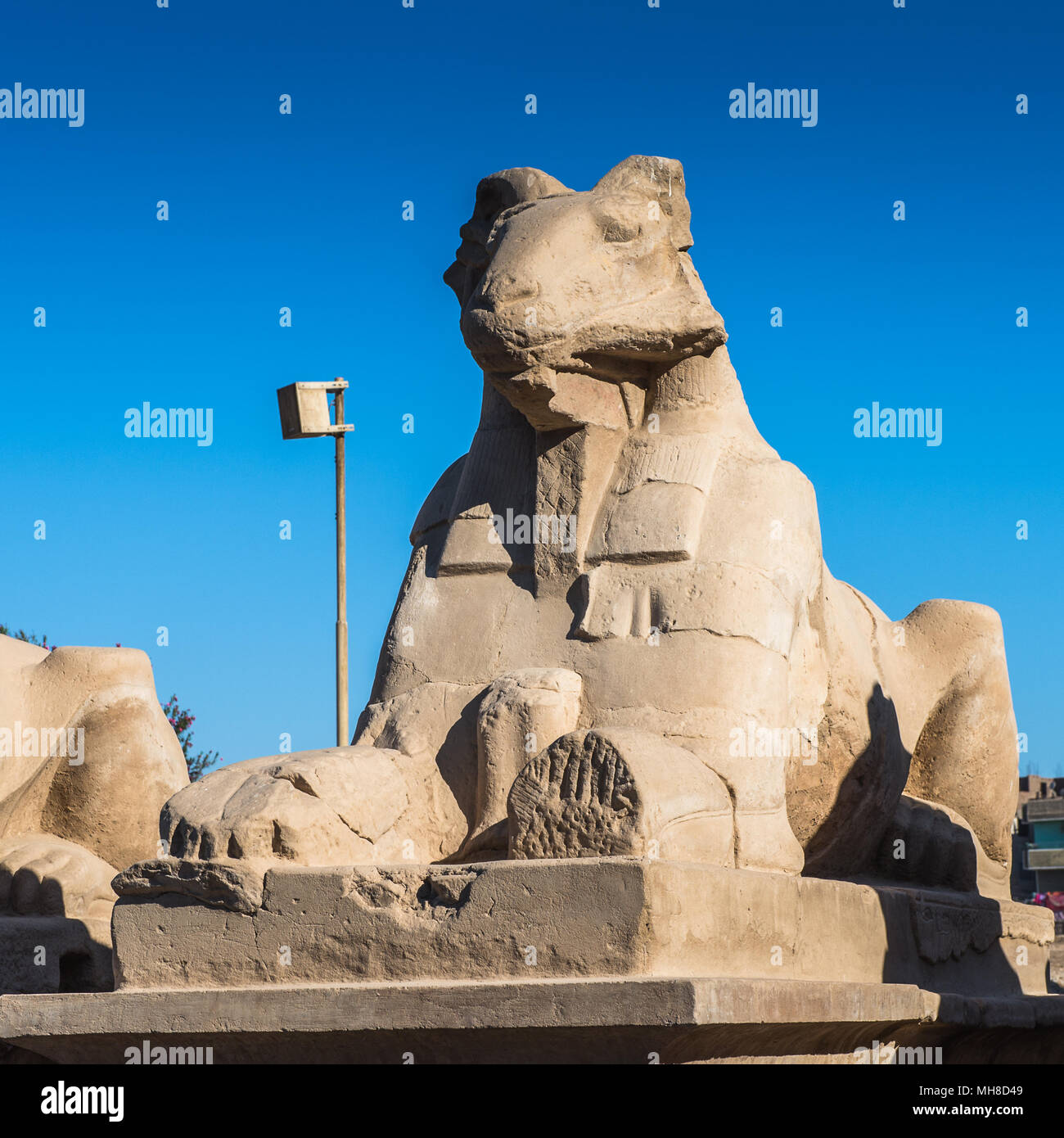 Ram statue at the gate of the Karnak temple (Ancient Thebes with its ...