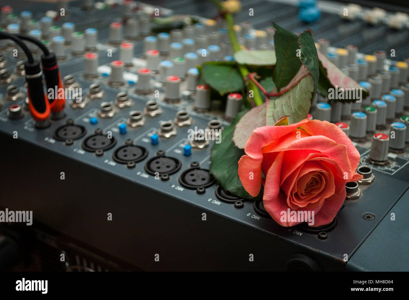 Red rose radio hi-res stock photography and images - Alamy