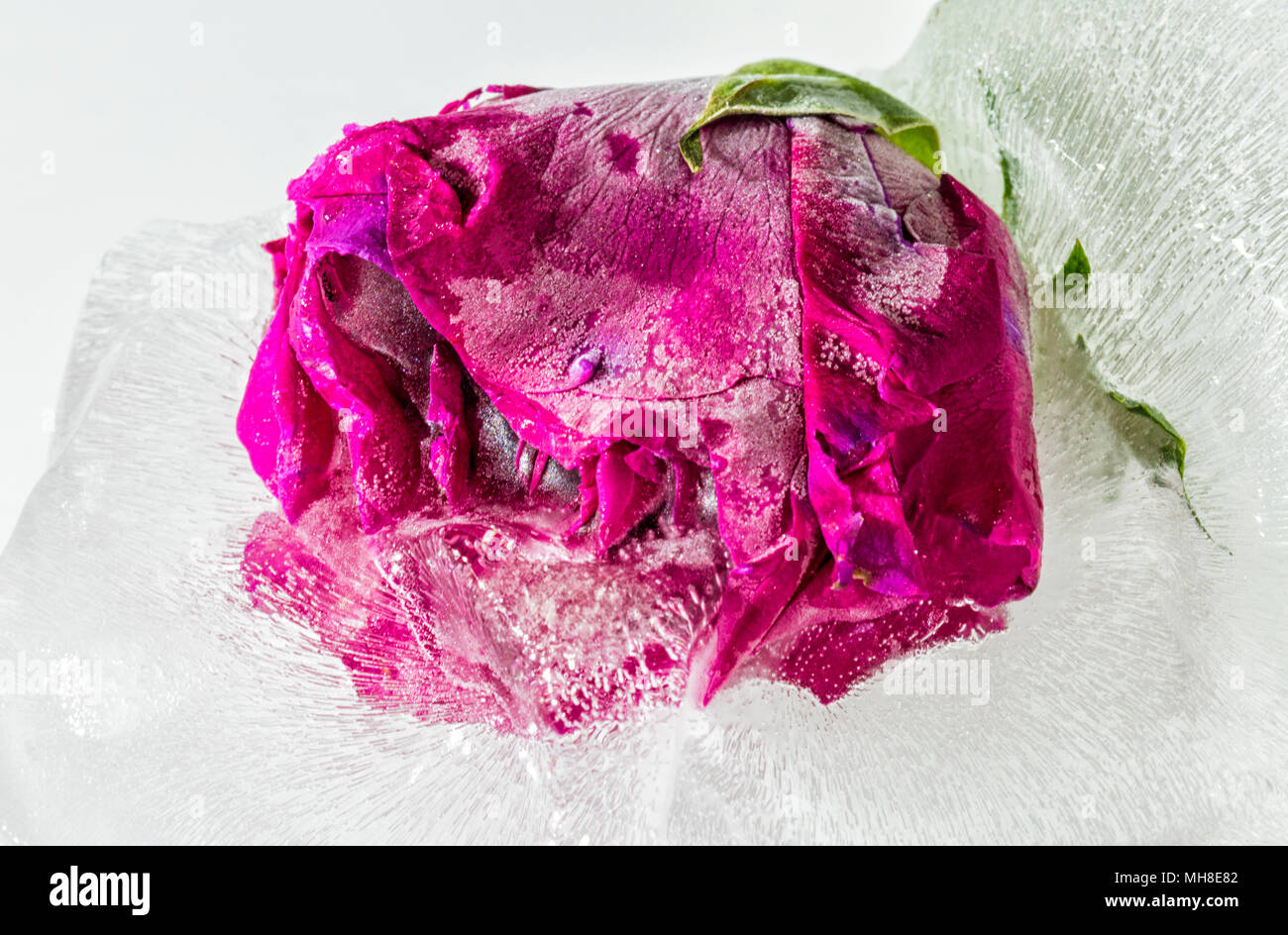 Abstract frozen hi-res stock photography and images - Alamy