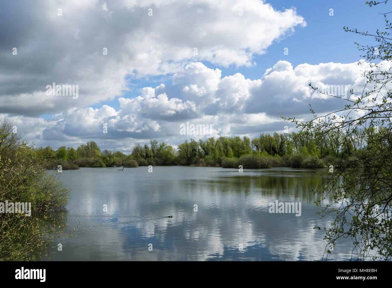 Sky and clouds over lake Milton country park Stock Photo - Alamy