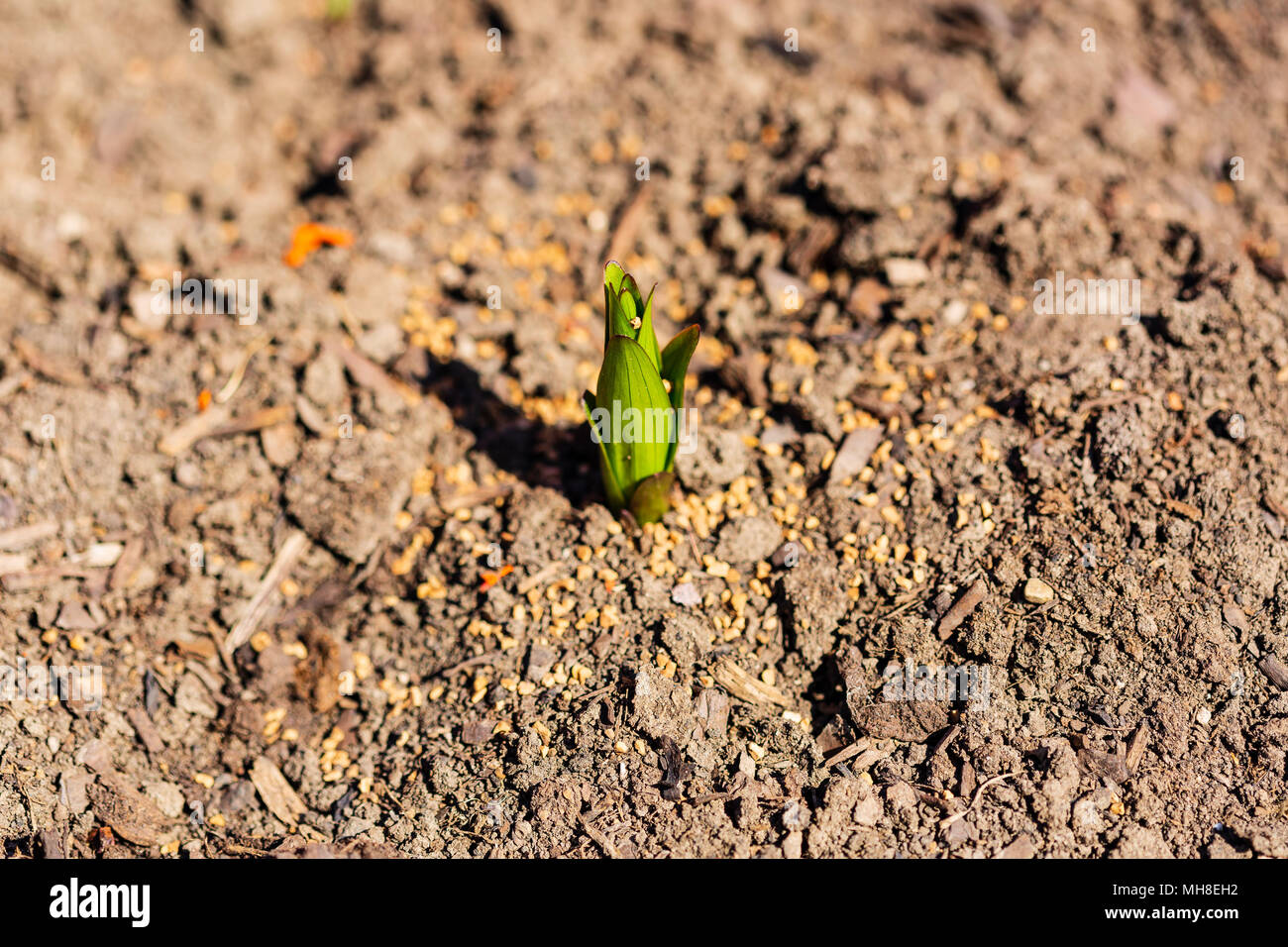 Spring signs hi-res stock photography and images - Alamy