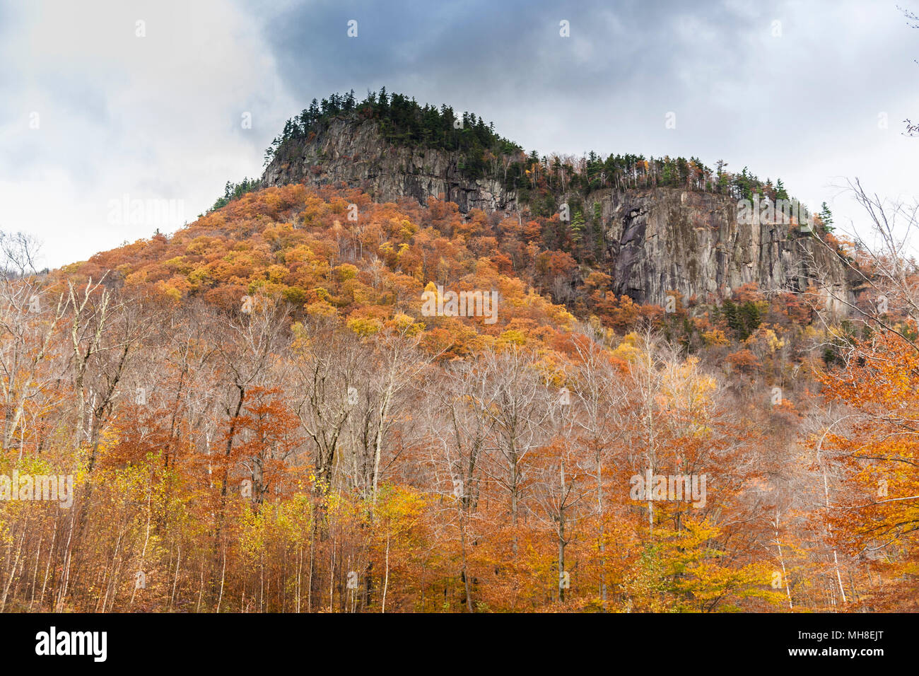 Frankenstein landscape hi-res stock photography and images - Alamy