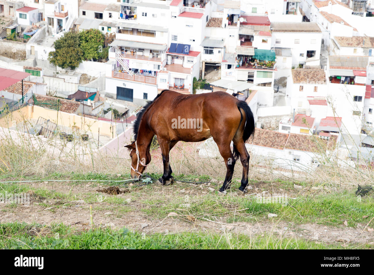 Alora village view hi-res stock photography and images - Alamy