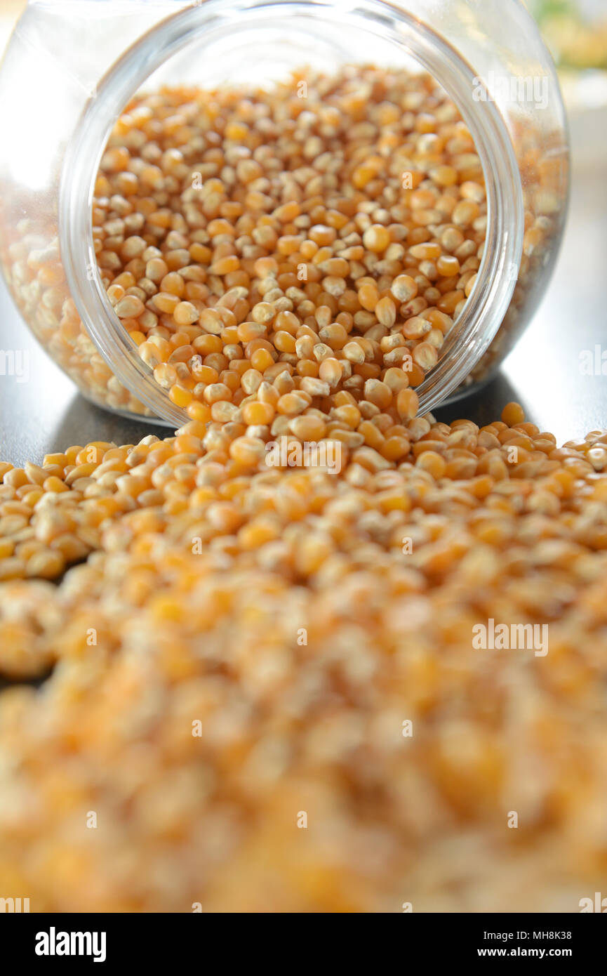 Popcorn grain in a storage jar Stock Photo - Alamy