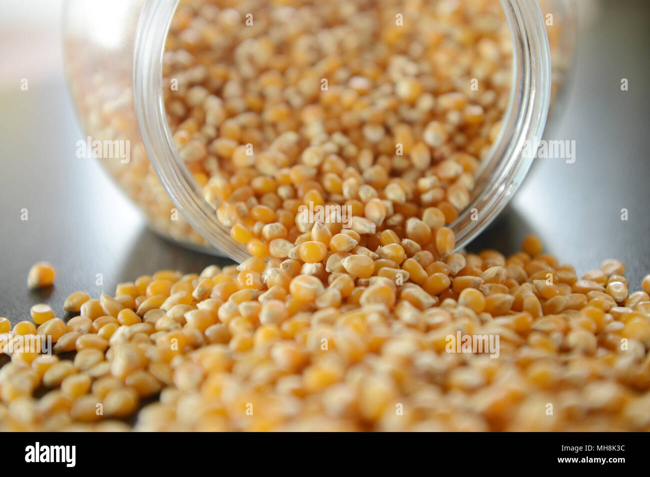 Popcorn grain in a storage jar Stock Photo - Alamy
