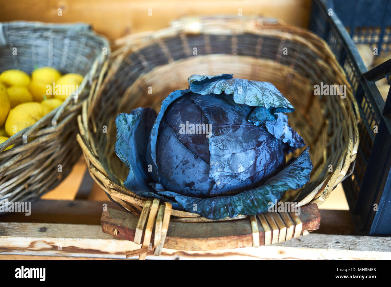 Single cabbage tree hi-res stock photography and images - Alamy