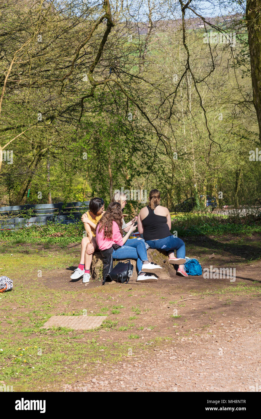 A group of young women sit on a tree stump and rest on the Fforest Fawr ...