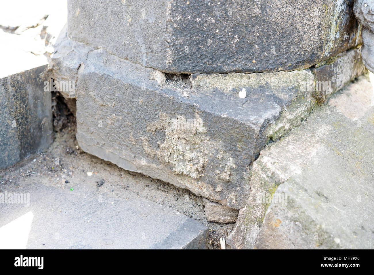 Bridge of palacky hi-res stock photography and images - Alamy