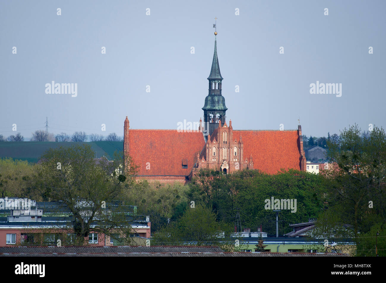 Gothic bazylika katedralna Wniebowziecia Najswietszej Maryi Panny ...