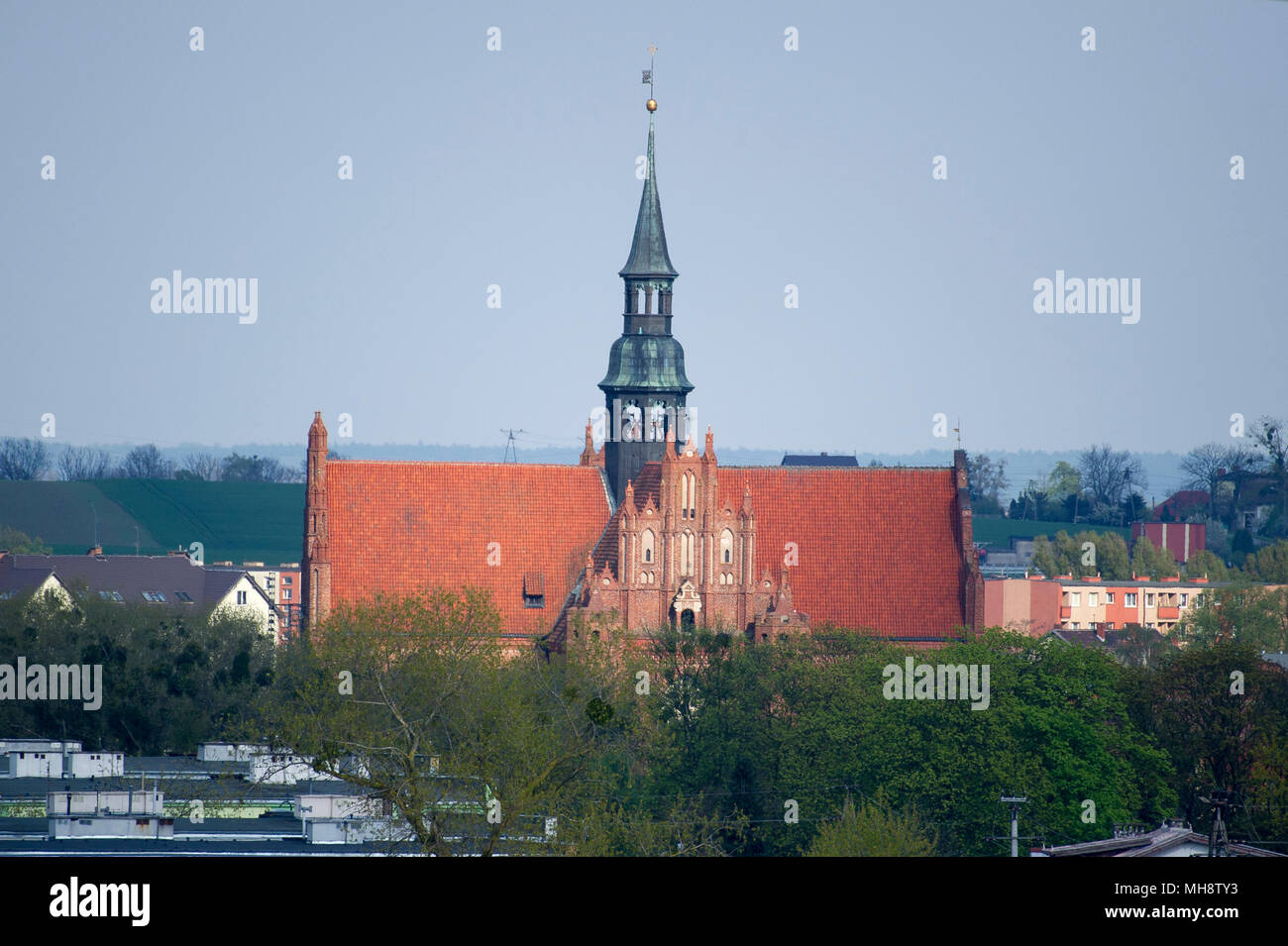 Gothic bazylika katedralna Wniebowziecia Najswietszej Maryi Panny ...