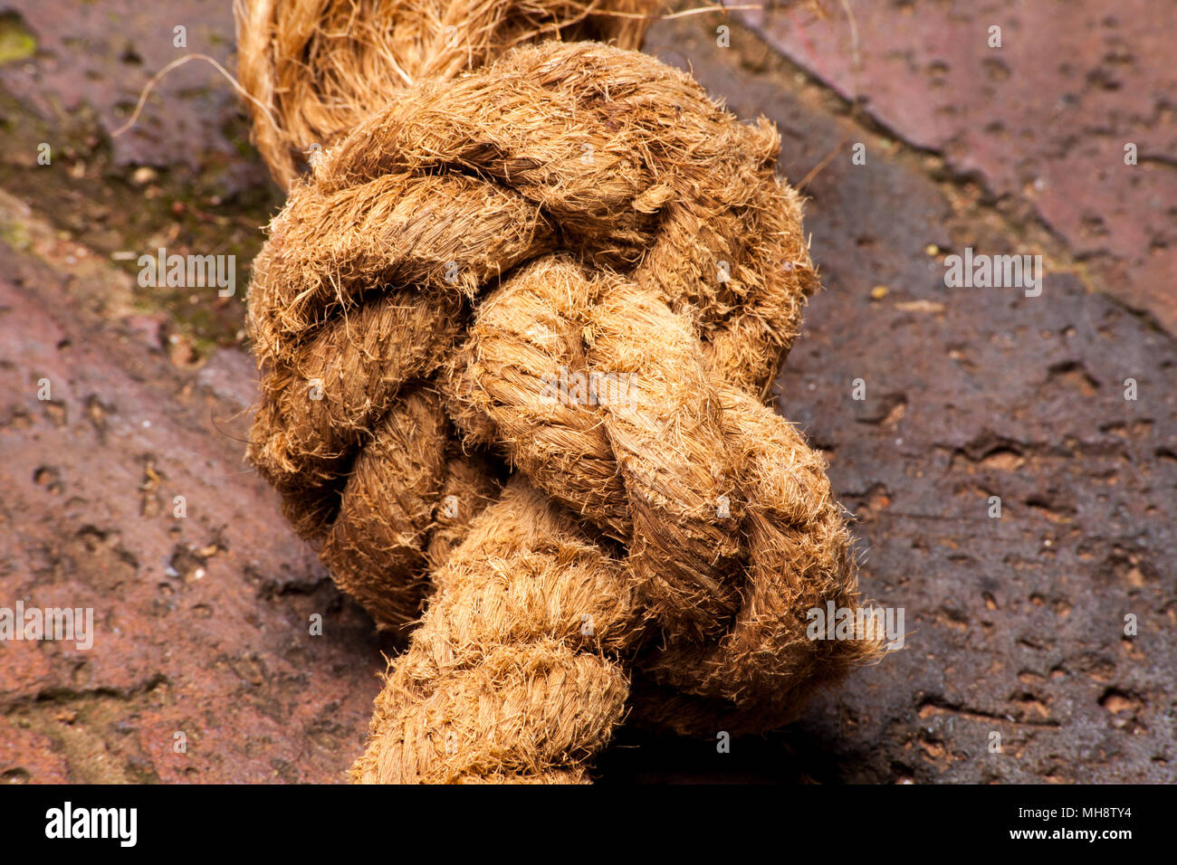 Knotted rope hi-res stock photography and images - Alamy