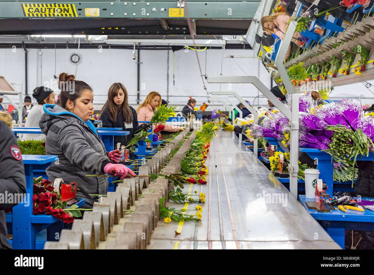 Assembly line workers hi-res stock photography and images - Alamy
