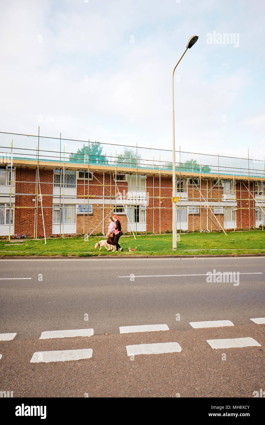 A suburban street scene with dog walkers and houses undergoing building ...