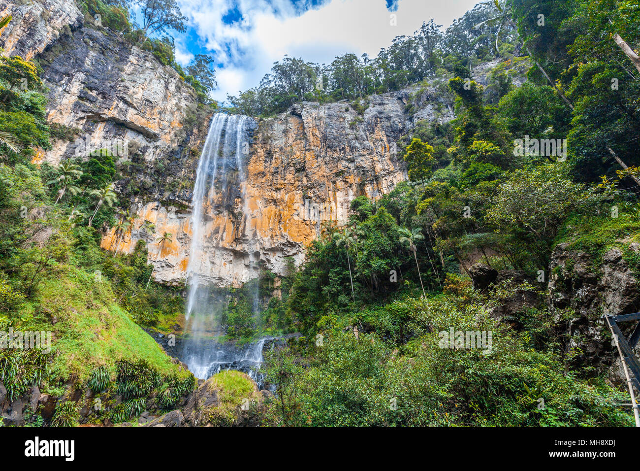 Rainbow Falls in a rainforest in Springbrook National Park, QLD ...