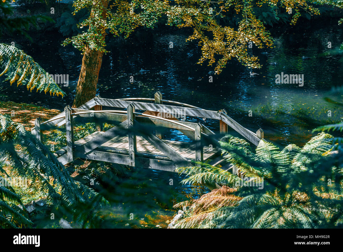 Small wooden footbridge across pond in autumn Stock Photo - Alamy