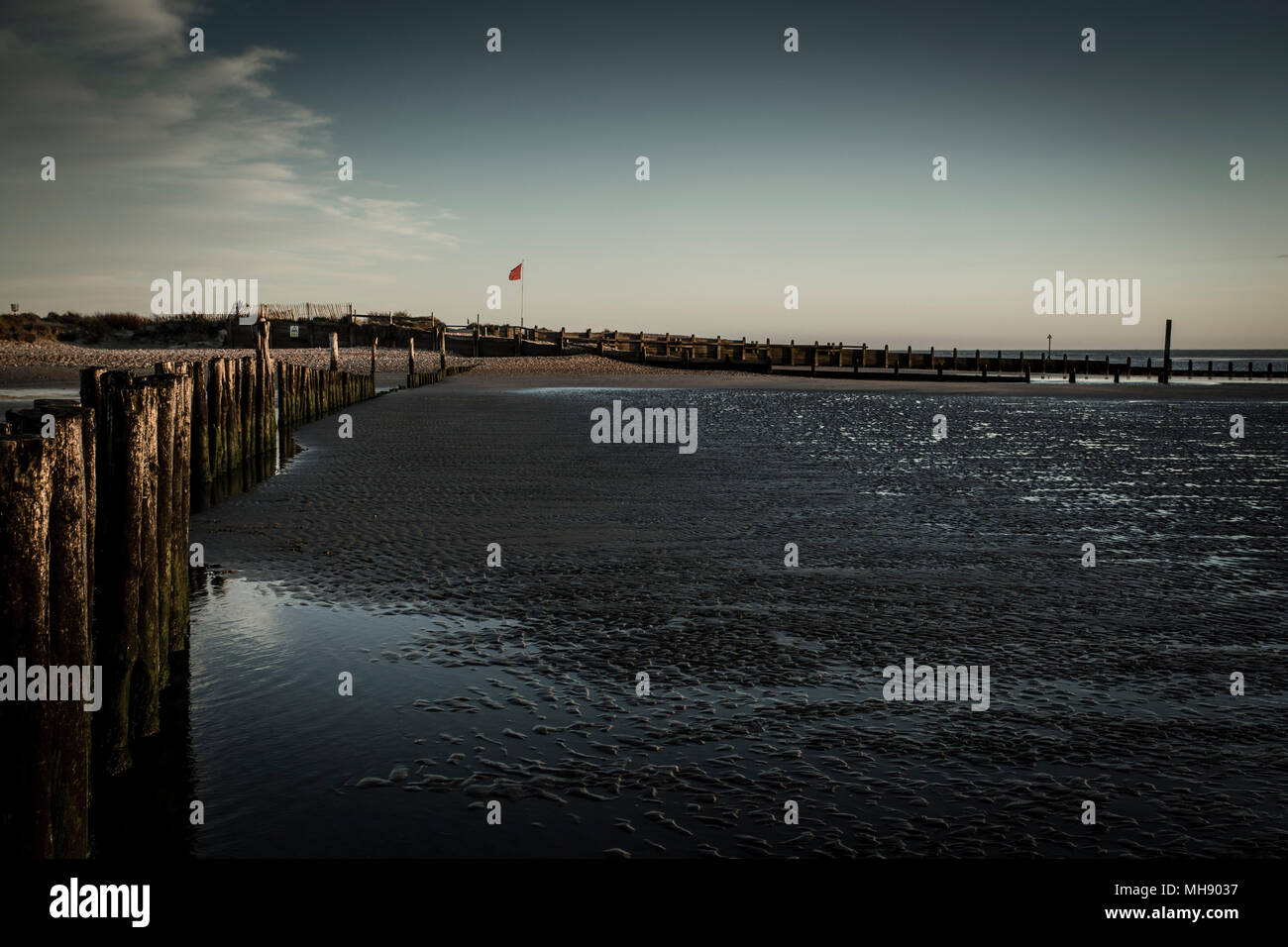 Groynes on beach at East Head, West Sussex, UK Stock Photo - Alamy