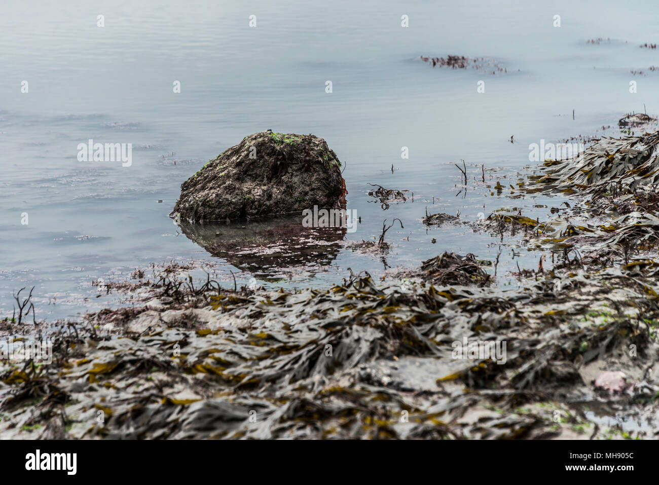 Half submerged rock hi-res stock photography and images - Alamy