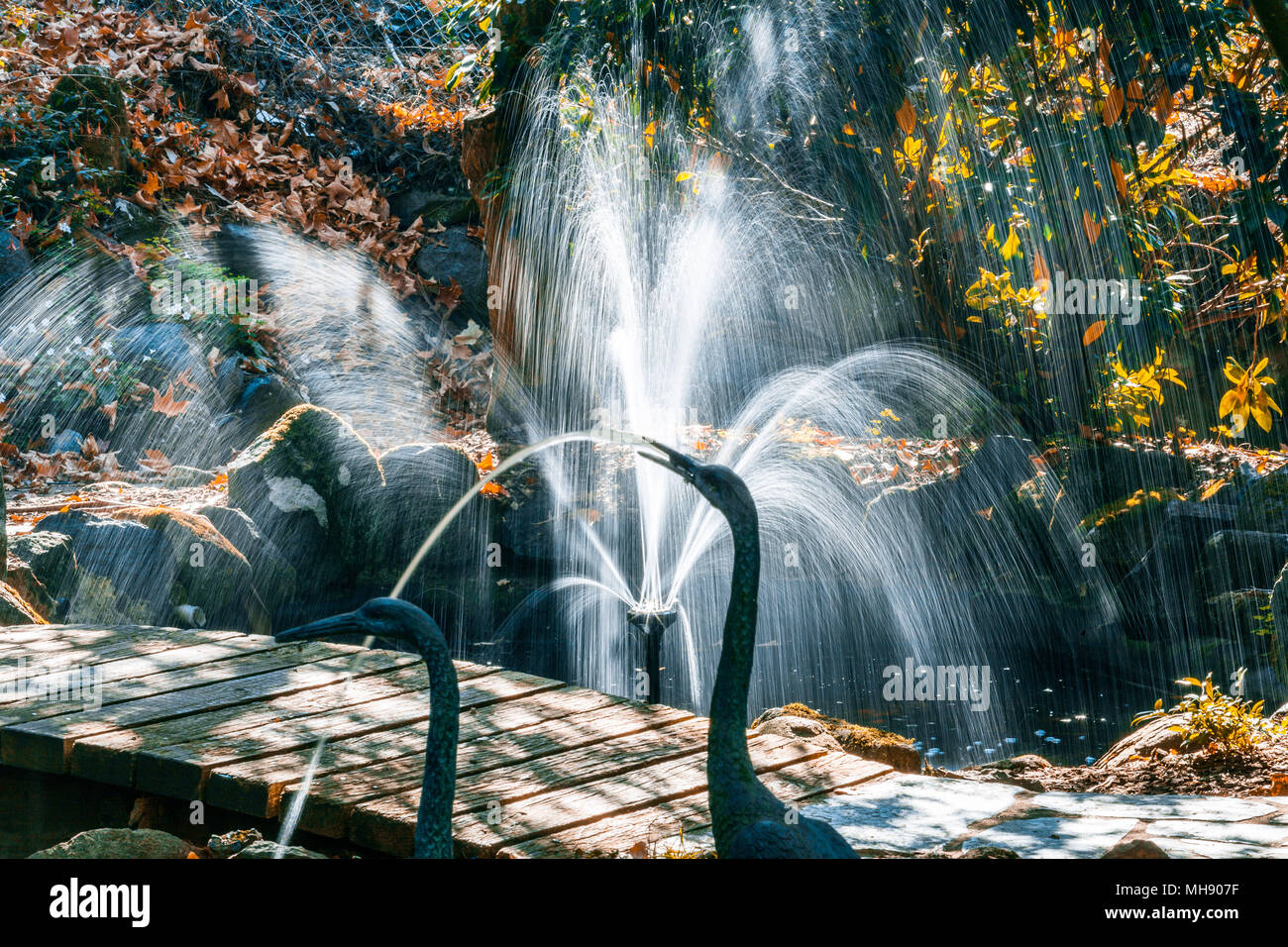 Autumn mood at the garden pond hi-res stock photography and images - Alamy