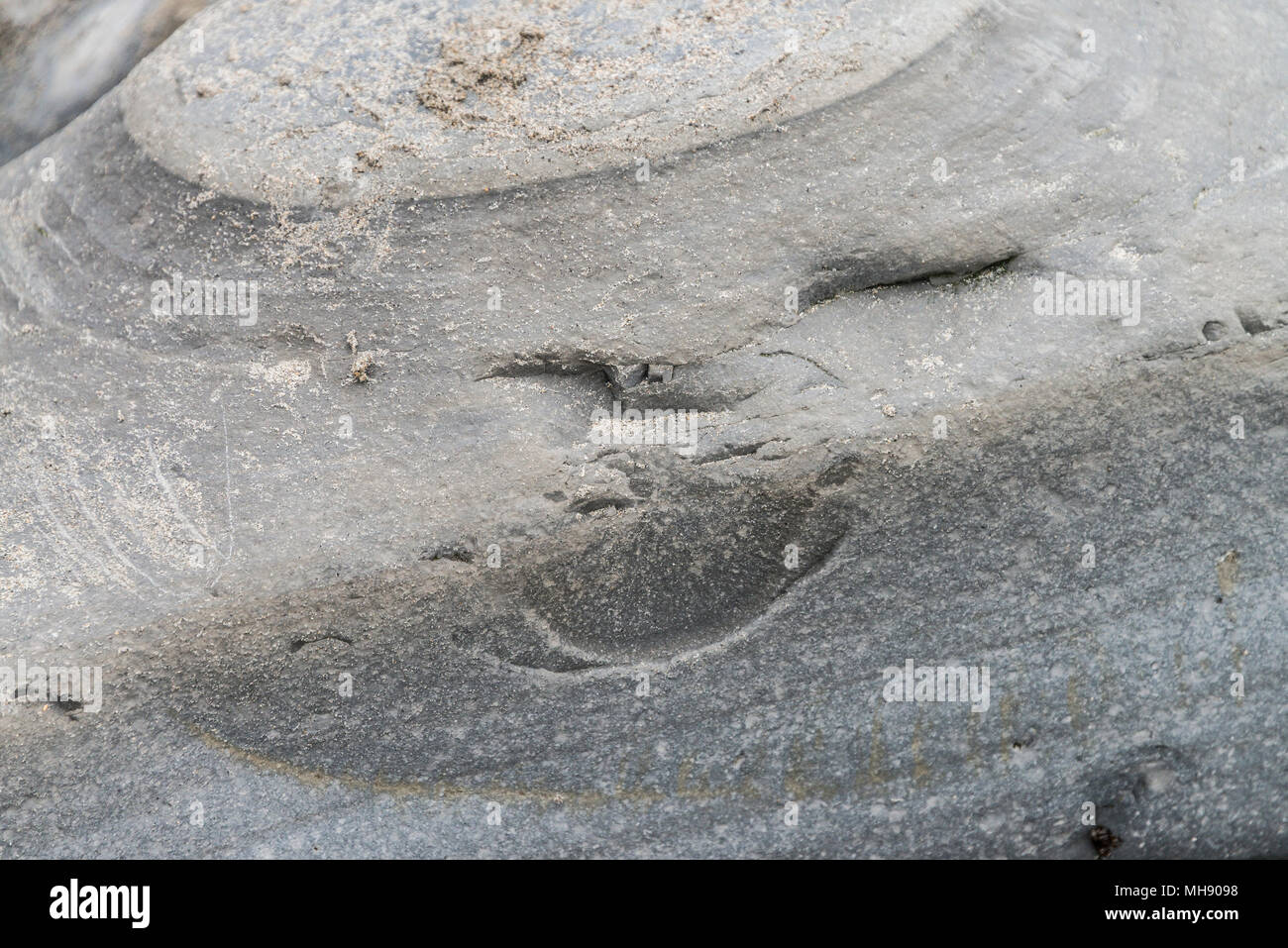 Rock with a smiling face hi-res stock photography and images - Alamy