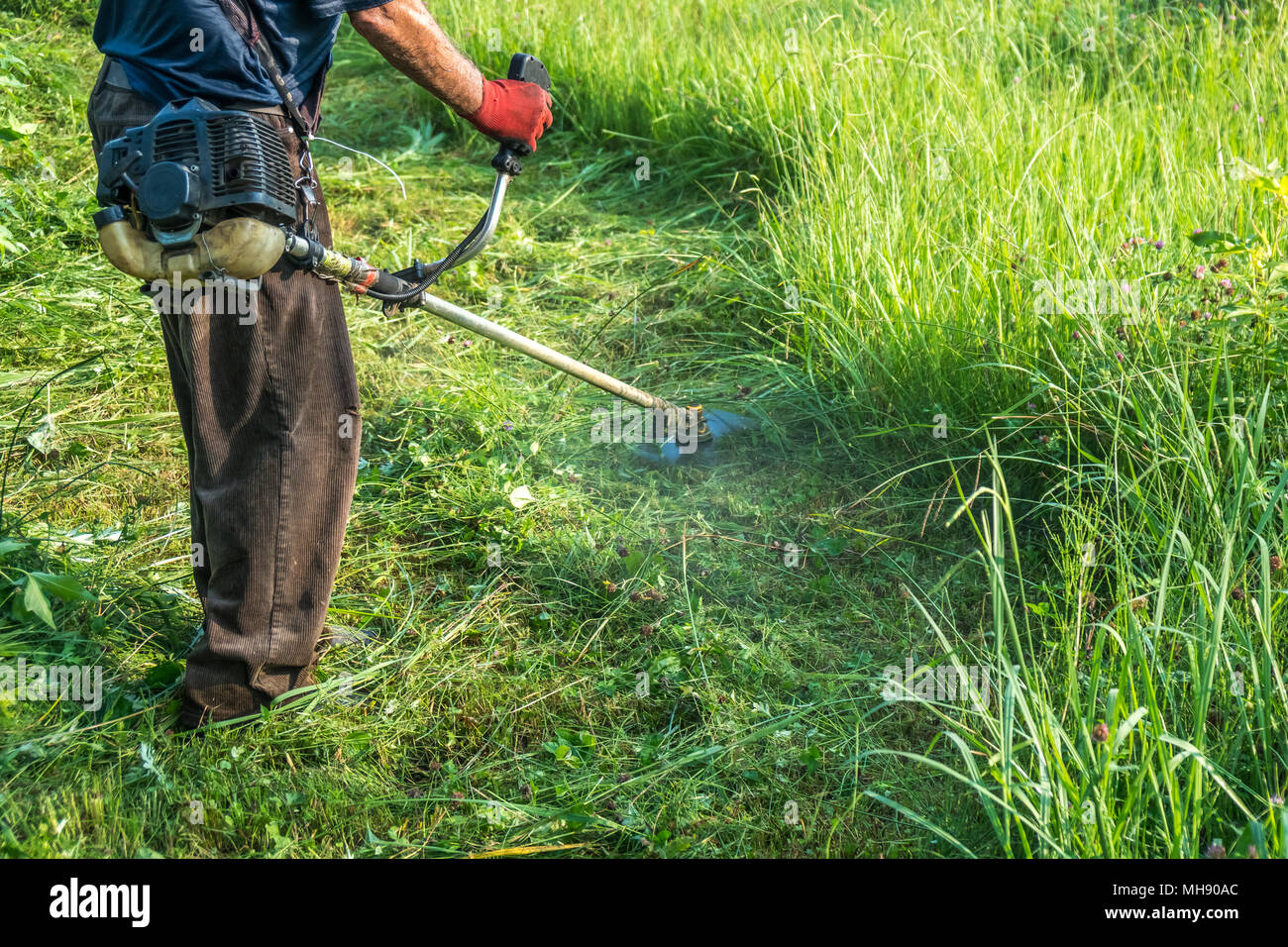 The gardener cutting grass by lawn mower Stock Photo - Alamy
