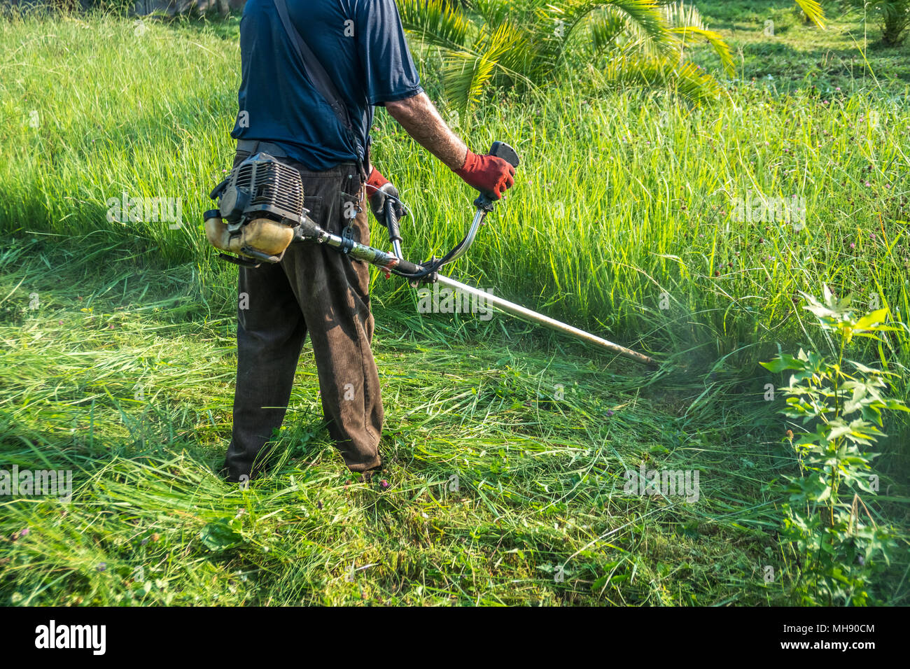 The gardener cutting grass by lawn mower Stock Photo - Alamy