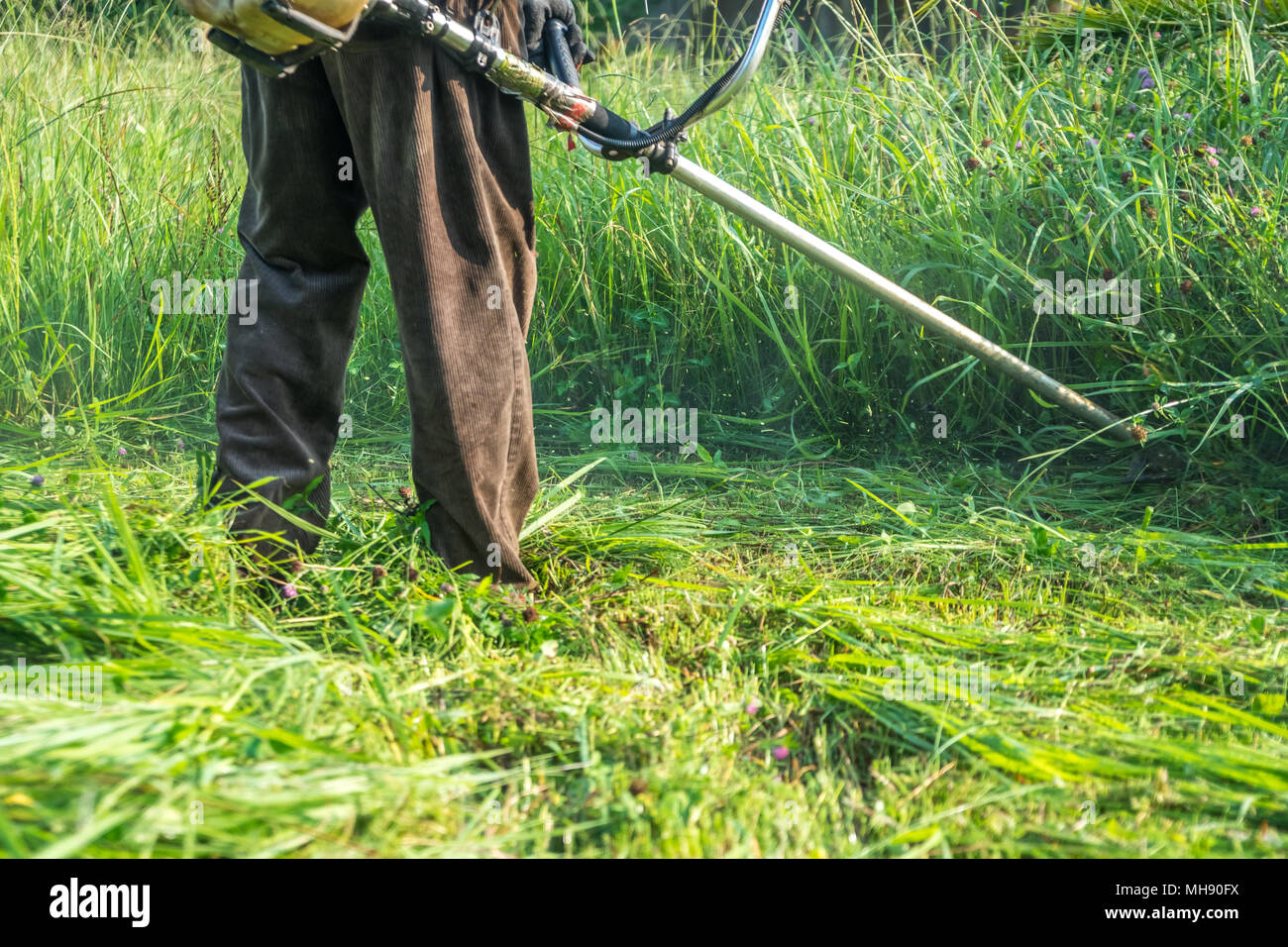 The gardener cutting grass by lawn mower Stock Photo - Alamy