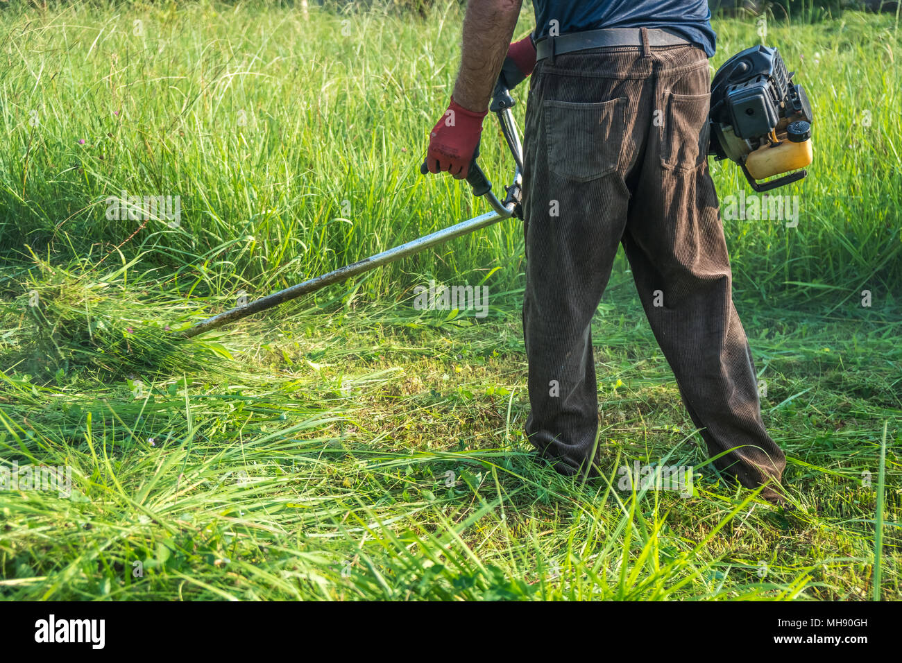 The gardener cutting grass by lawn mower Stock Photo - Alamy
