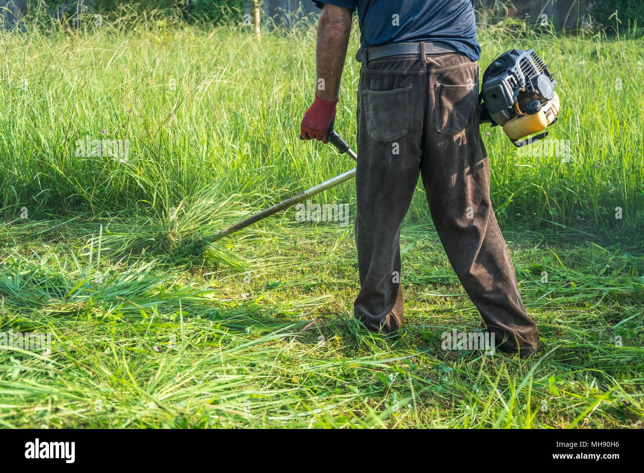 The gardener cutting grass by lawn mower Stock Photo - Alamy