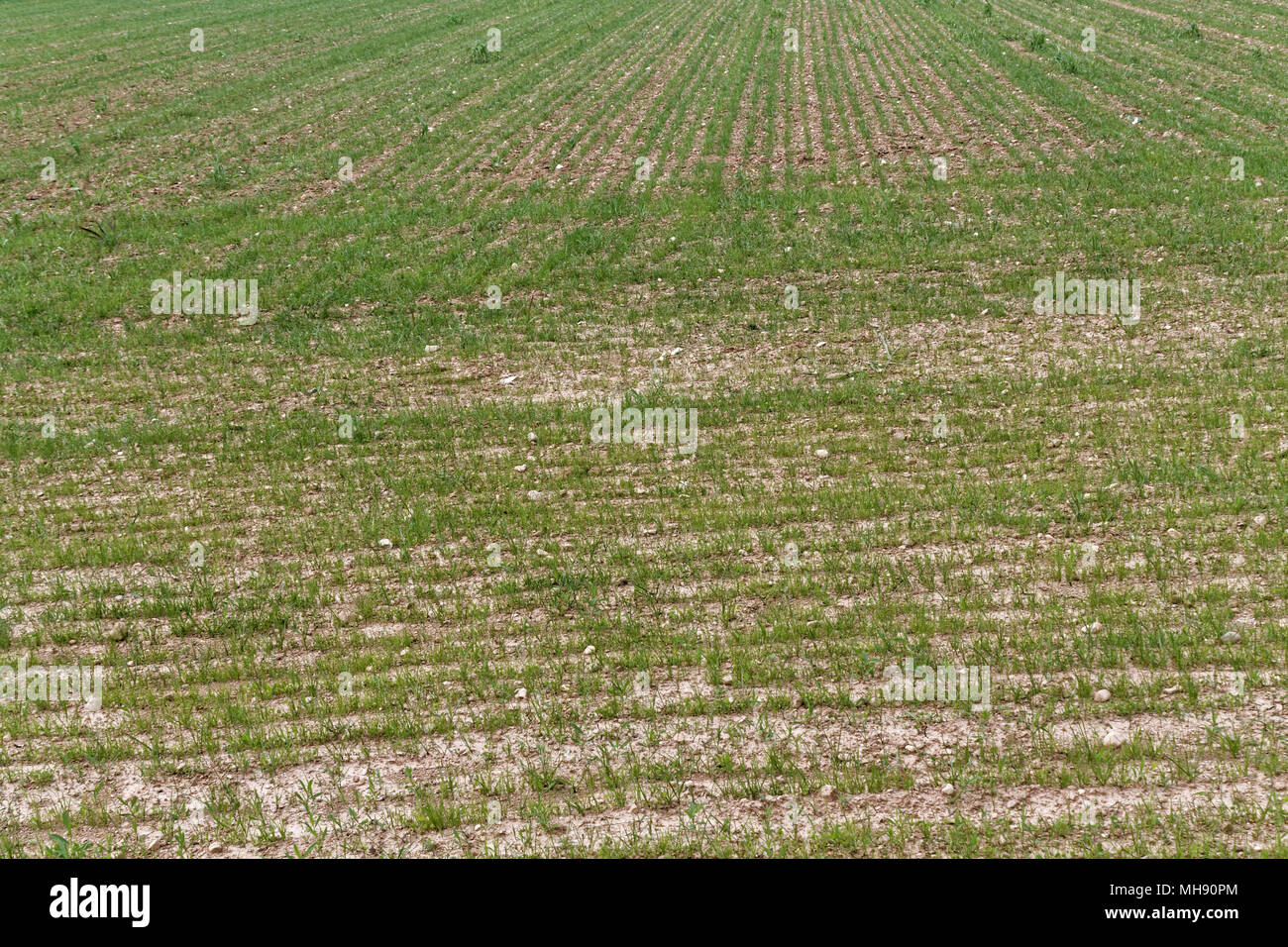 Land preparing hi-res stock photography and images - Alamy